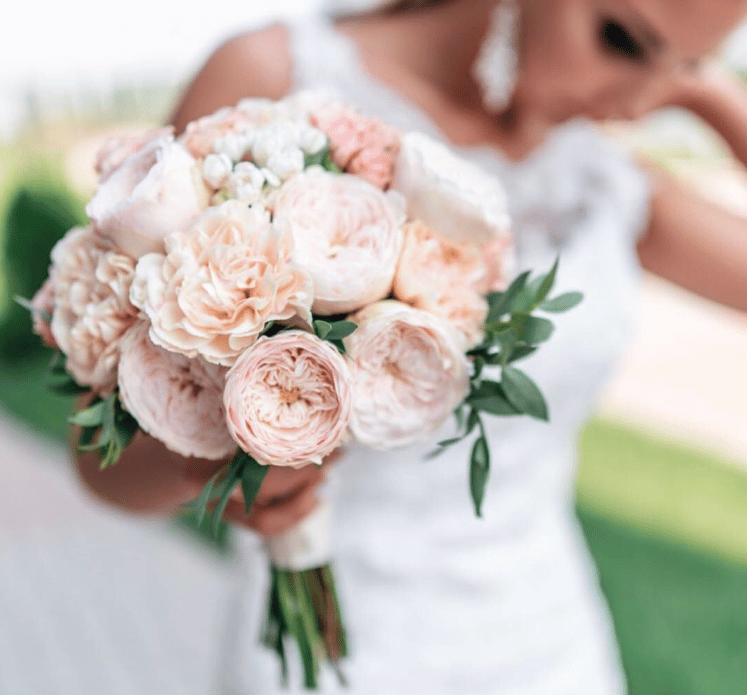 Mansfield Park » Vip Roses