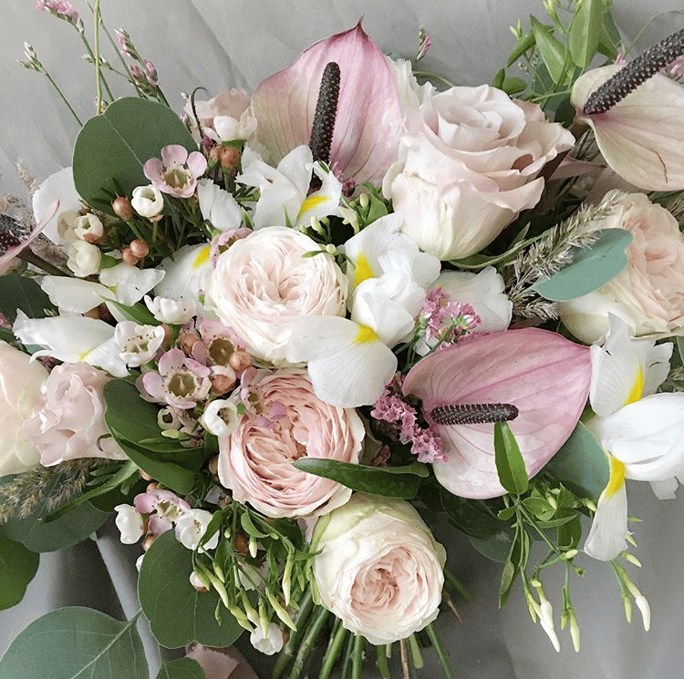 Mansfield Park » Vip Roses