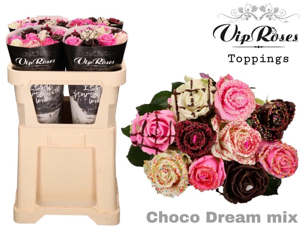 Tinted flowers » Vip Roses
