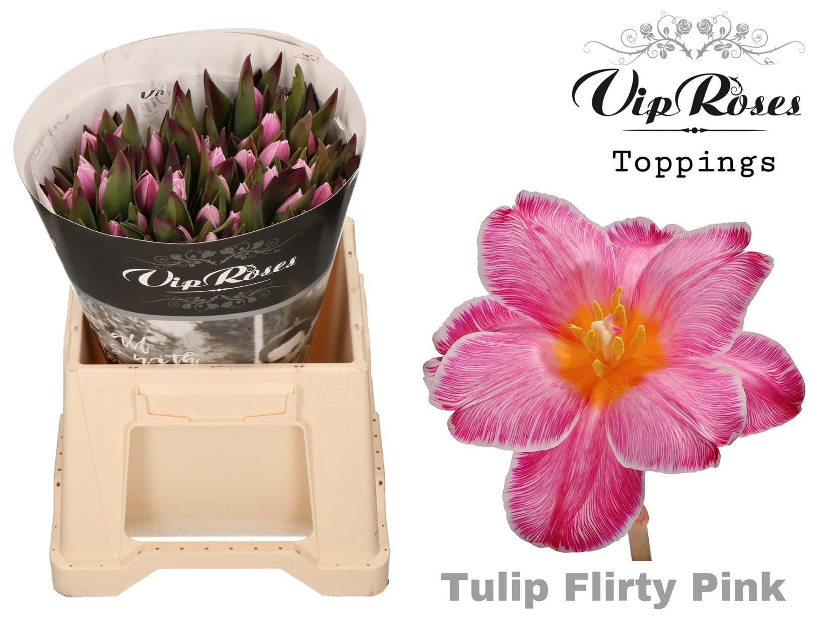Vip Tulips » Vip Roses